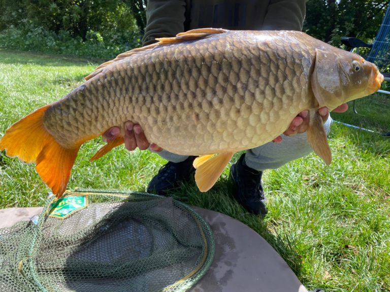 Method Feeder Fishing Course - Improve Angling