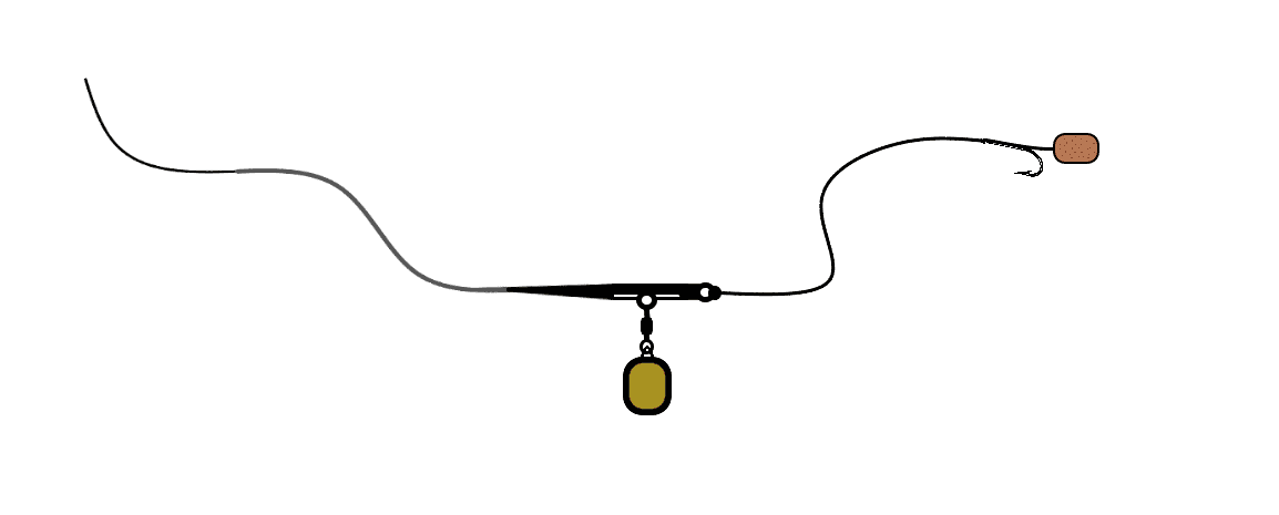 Catching Catfish In The UK - A Complete Guide