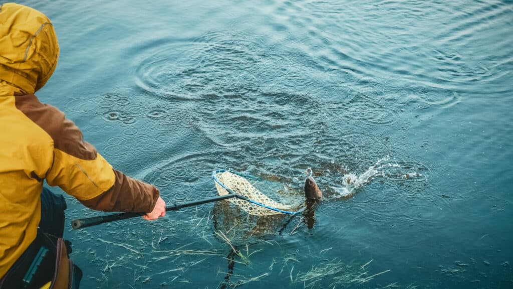 How To Catch Atlantic Salmon - A Fisherman's Guide
